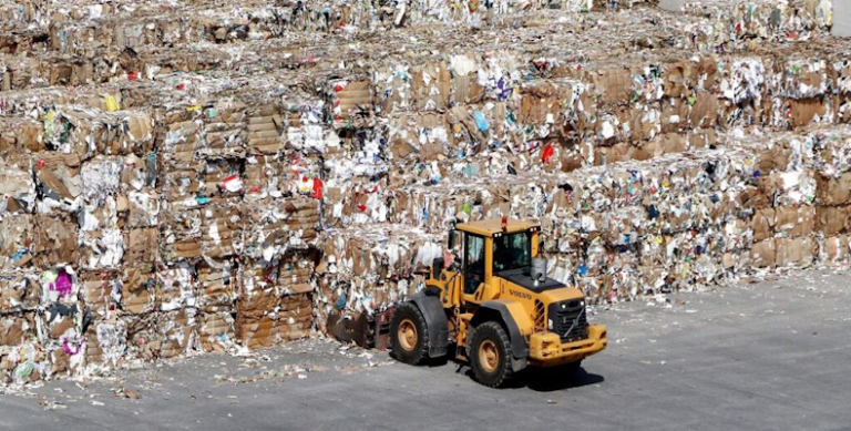 Paperwise: 10 Tips to Streamline Your Paper Usage and Save Trees ...